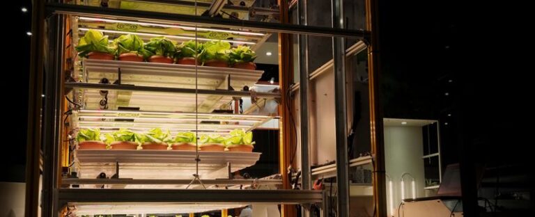 Electro-Agriculture: The Future of Sustainable Food Production - PJRFSI